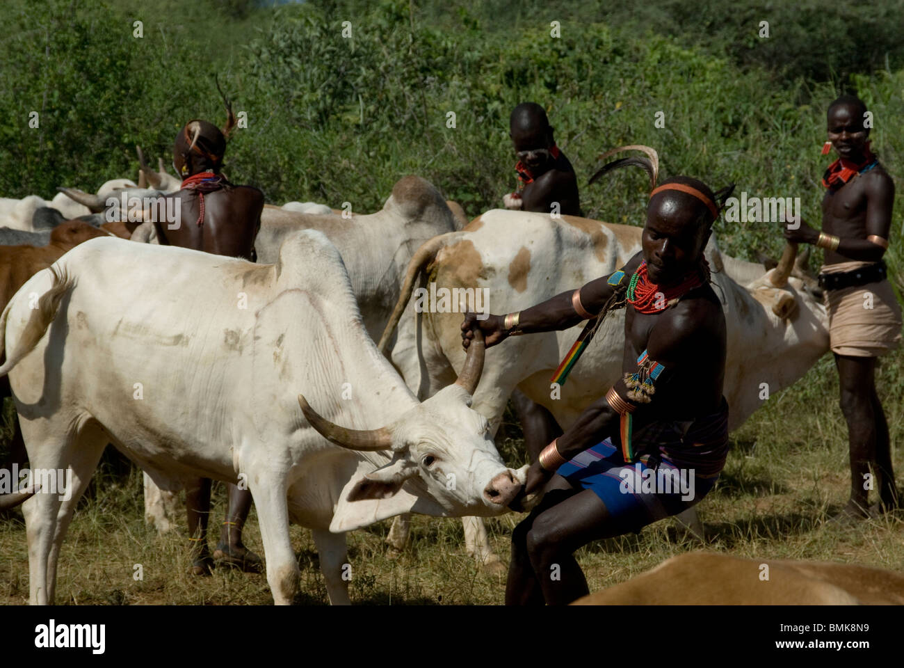 Ethiopia: Lower Omo River Basin, Hamar tribal region, Keskay River ...