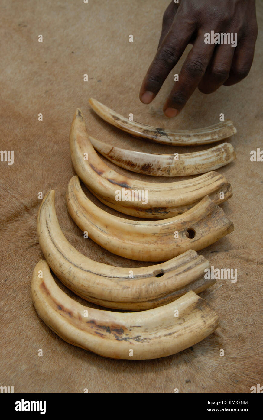 Ethiopia: Lower Omo River Basin, Shicanygara, a Mursi village on east ...