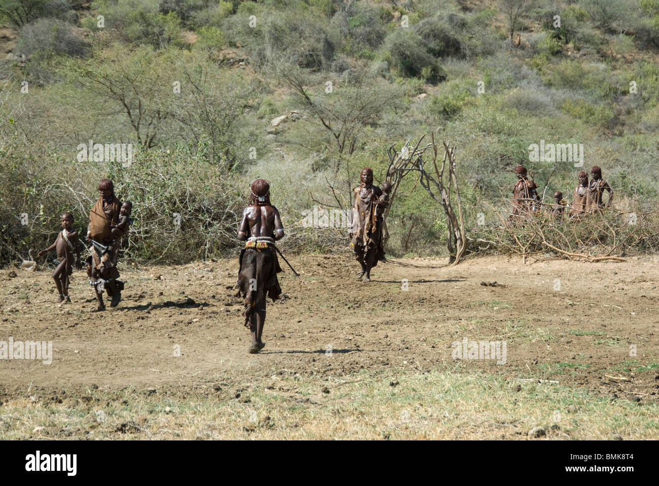 Ethiopia: Lower Omo River Basin, near Turmi and Dilabino, Hamar bull ...