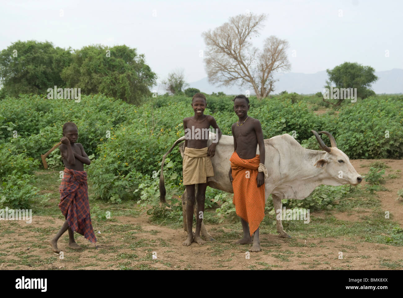 Ethiopia: Lower Omo River Basin, Omo Delta, Dassenech village of ...