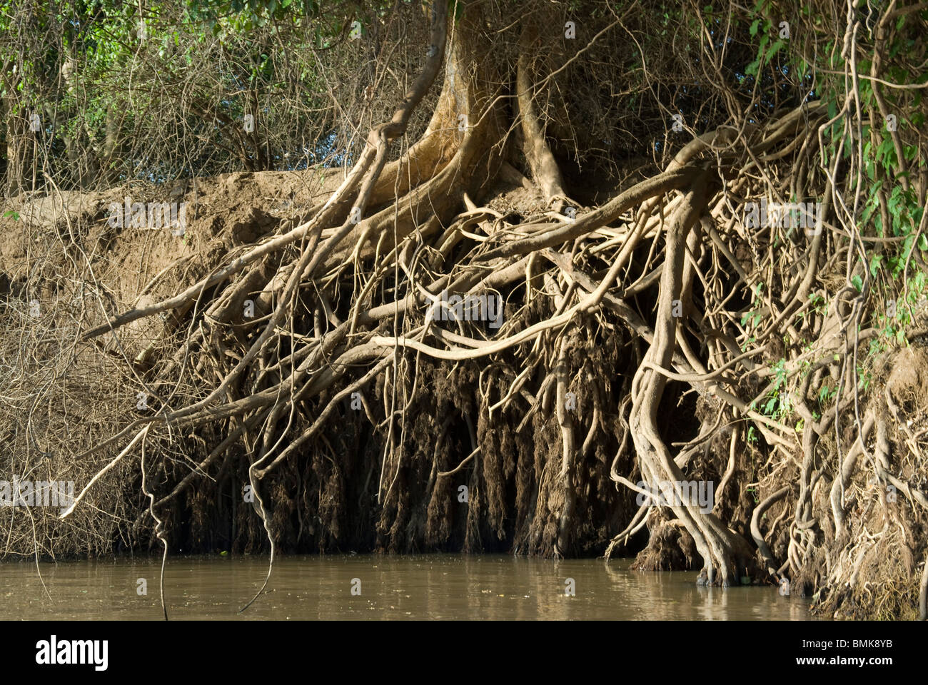Ethiopia Lower Omo River Basin High Resolution Stock Photography and ...