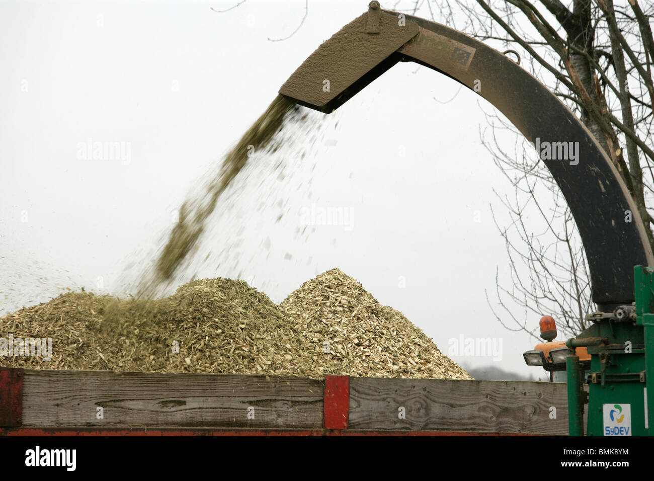 Wood, renewable energy Stock Photo - Alamy
