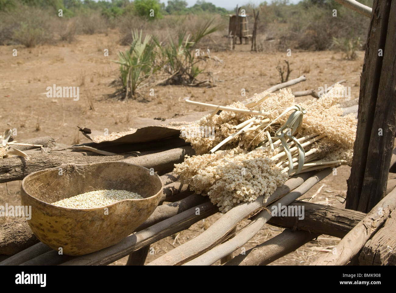 Ethiopia: Lower Omo River Basin, Kundama farm for Karo's village of ...