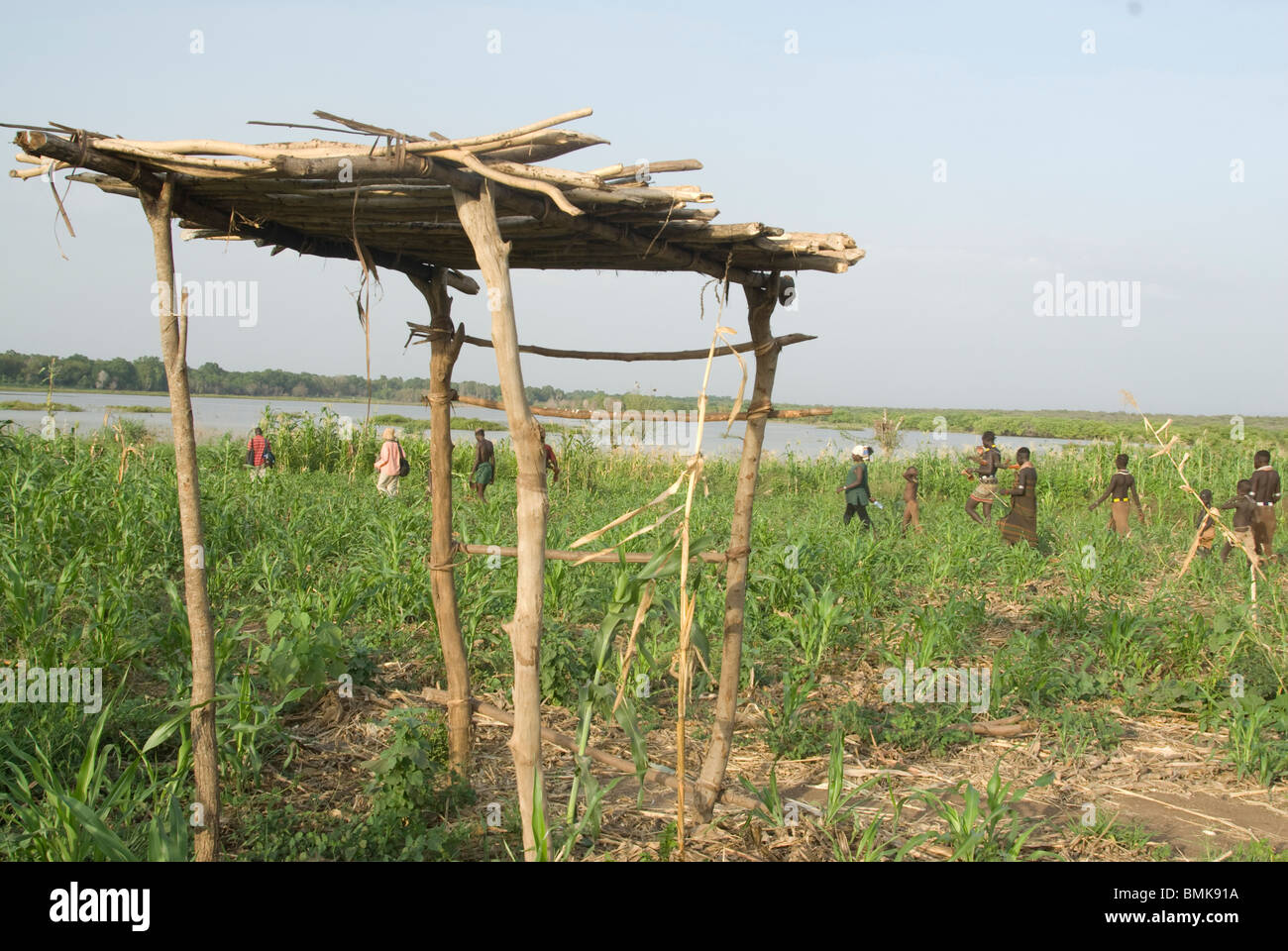 Ethiopia: Lower Omo River Basin, Lebuk farm village, villagers walking ...