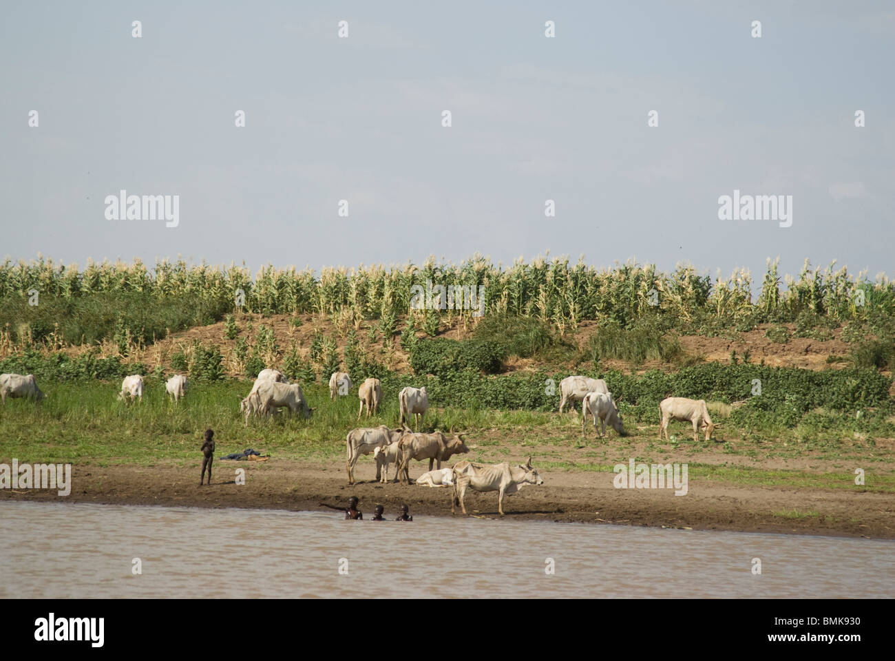 Omo delta hi-res stock photography and images - Alamy