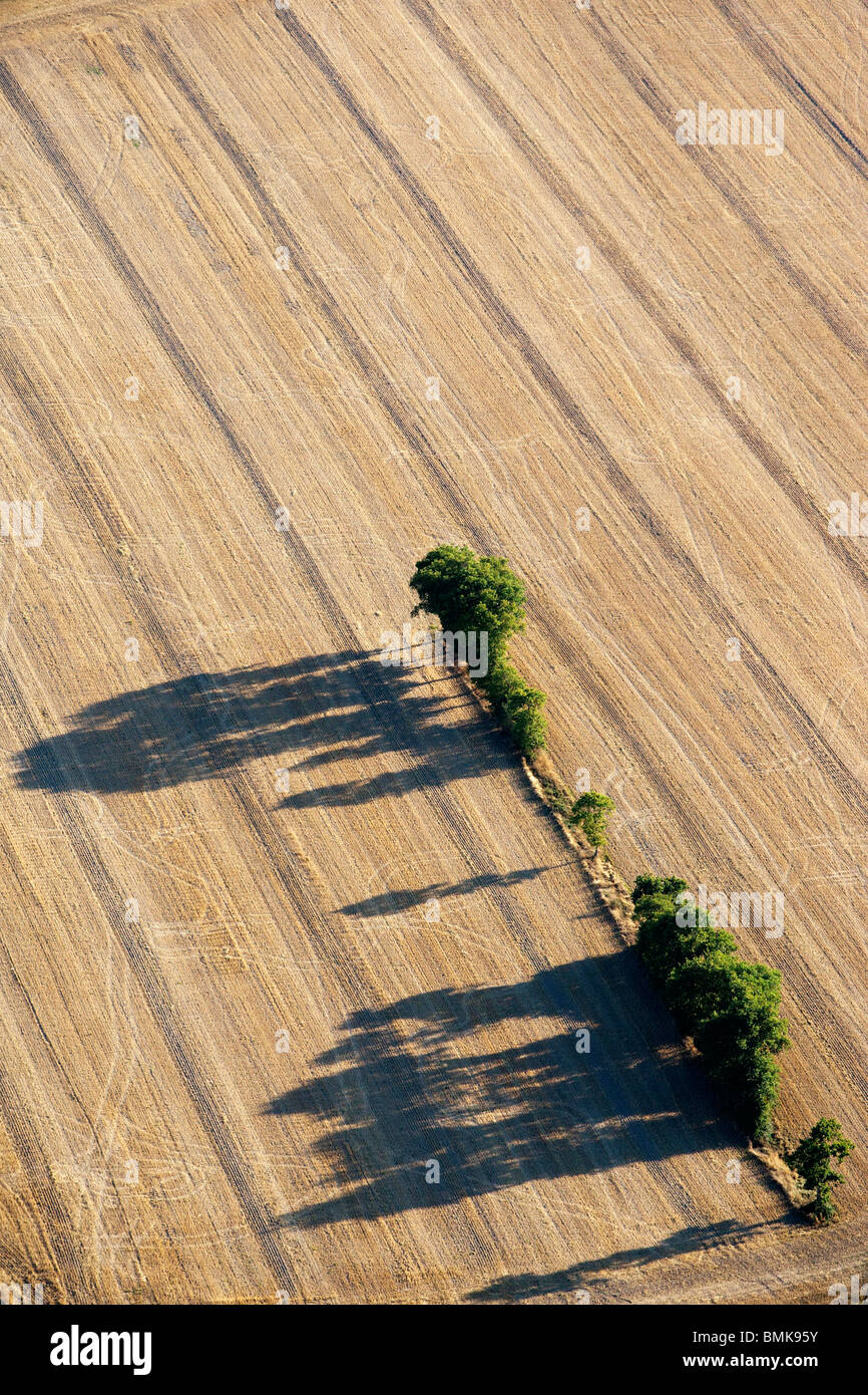 Plots of cultivated lands Stock Photo - Alamy