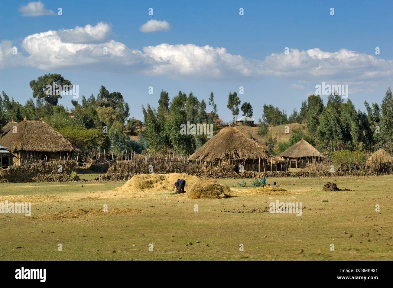 A farmer gathers dry grass while kids play in front of stone fences and ...