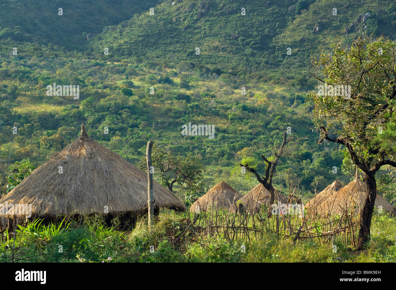 Africa, Ethiopia, Omo region, Kibish. Suri tribe village in Ethiopia ...