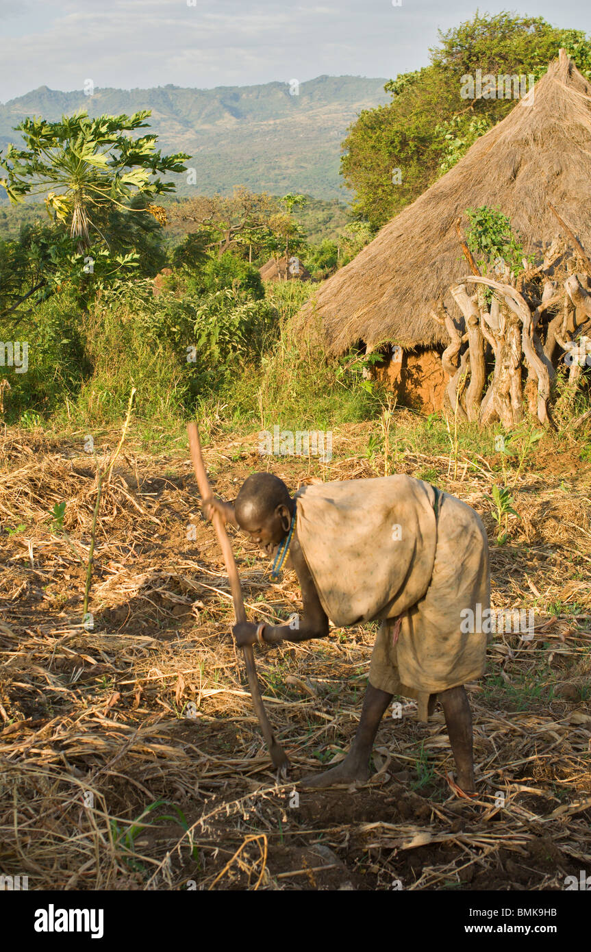 Ethiopia, Omo Region, Ajo village. Suri tribe woman working outside her ...