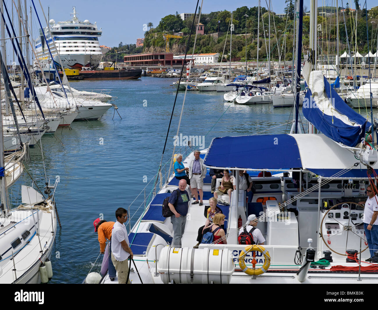 Cruise chip boats and yachts in the marina harbour Funchal Madeira ...