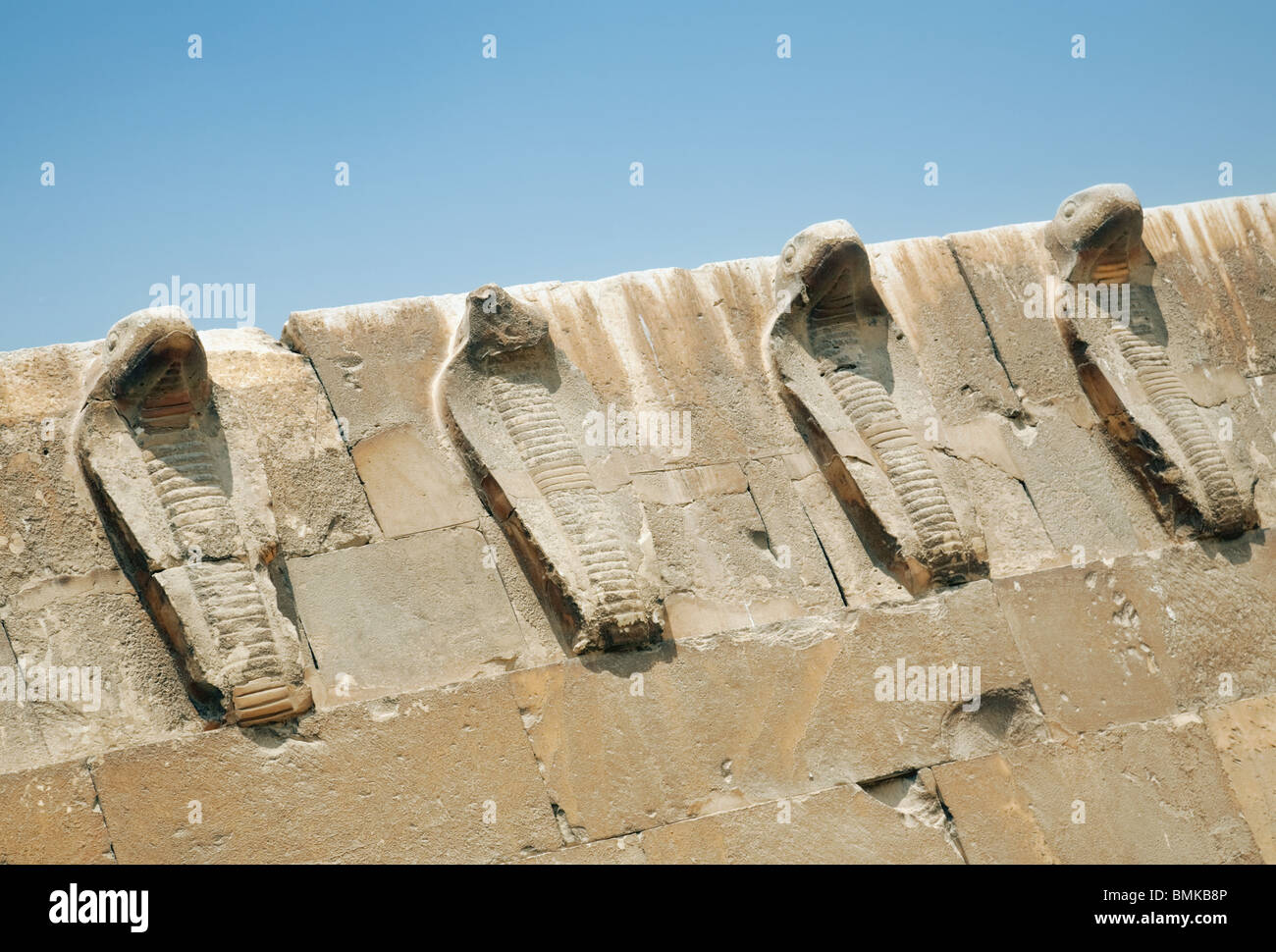 The line of cobra statues at The Step pyramid of Djoser, Saqqara, Egypt ...