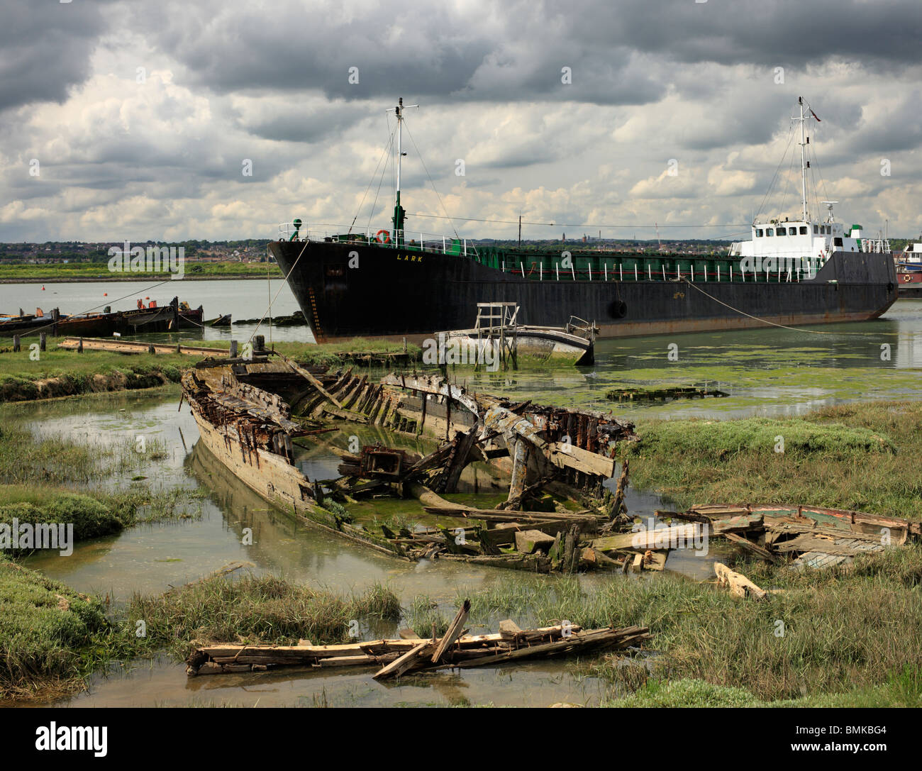 Sargasso Sea Ship Graveyard