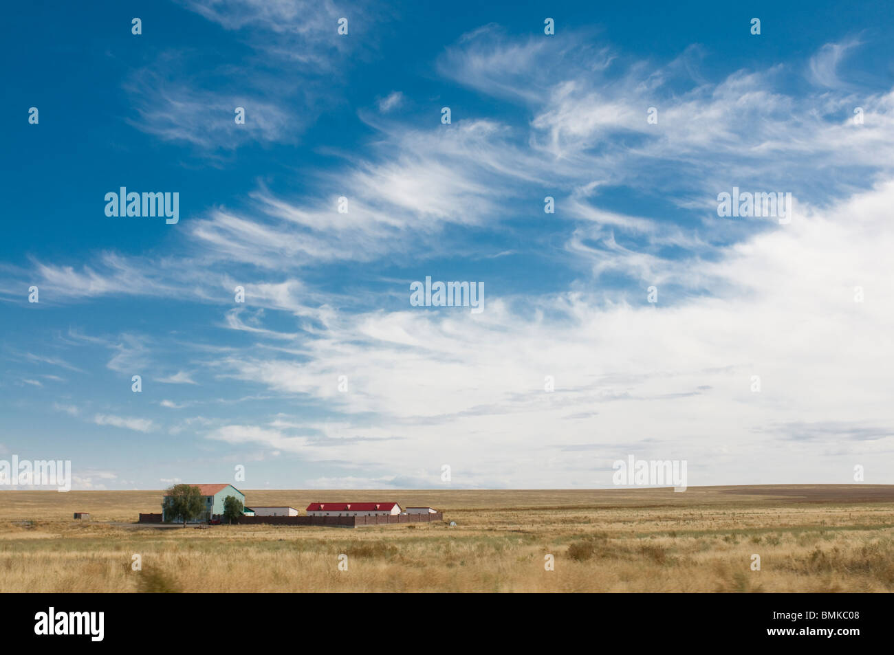 Kazakhstan steppe wheat hi-res stock photography and images - Alamy