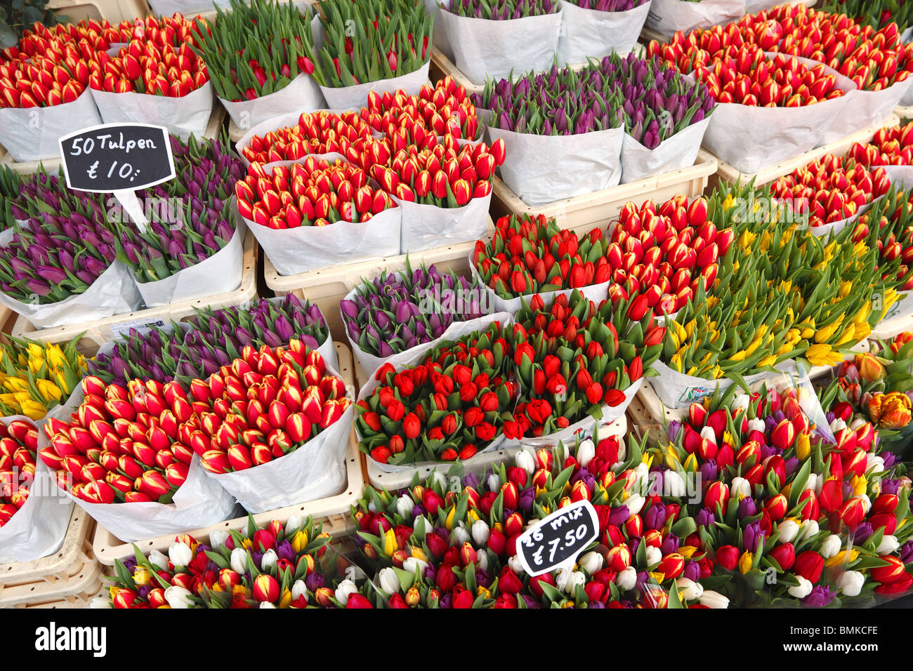 Tulips on sale at the flower market in Amsterdam, Holland Stock Photo ...