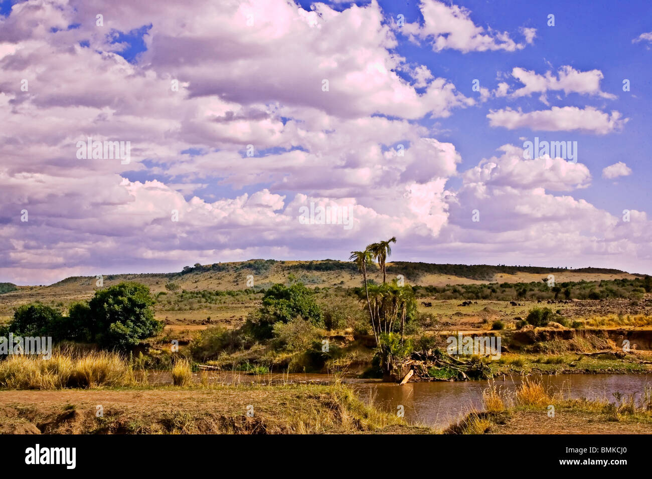 A scenic view of the Mara in the Maasai Mara Kenya Stock Photo - Alamy