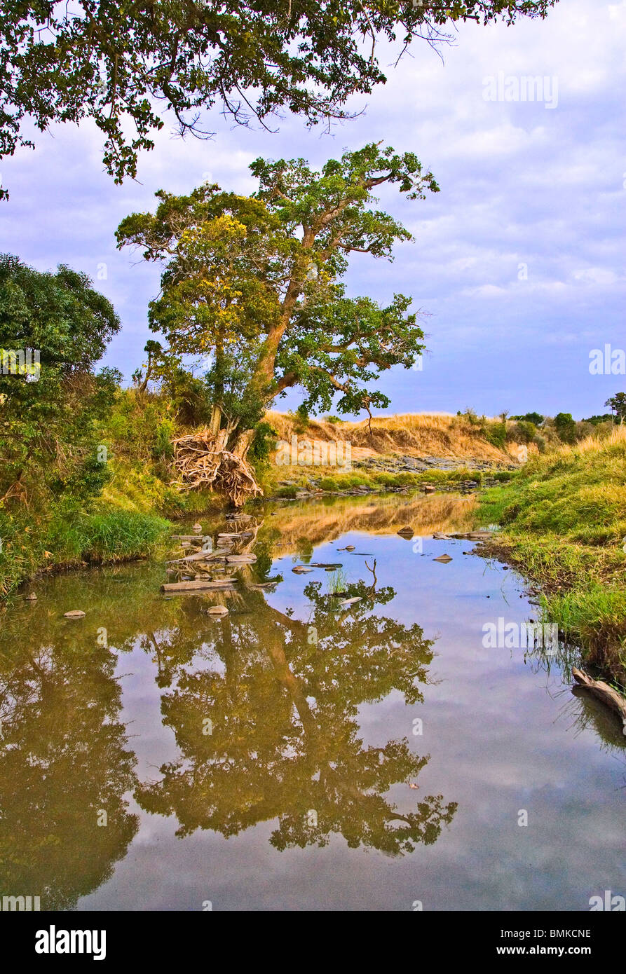 Mara creek hi-res stock photography and images - Alamy