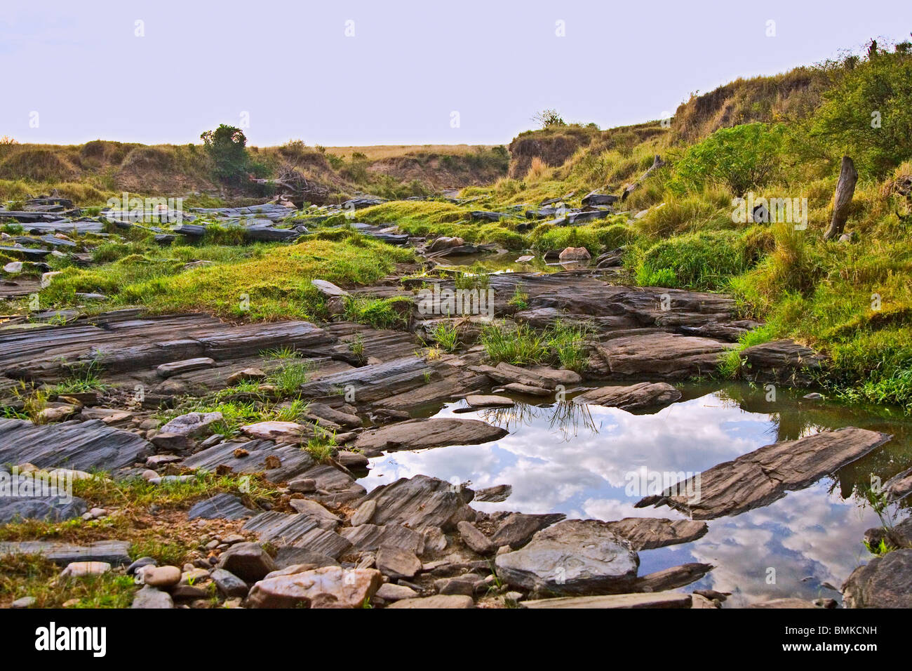 A scenic view of the Mara in the Maasai Mara Kenya Stock Photo - Alamy