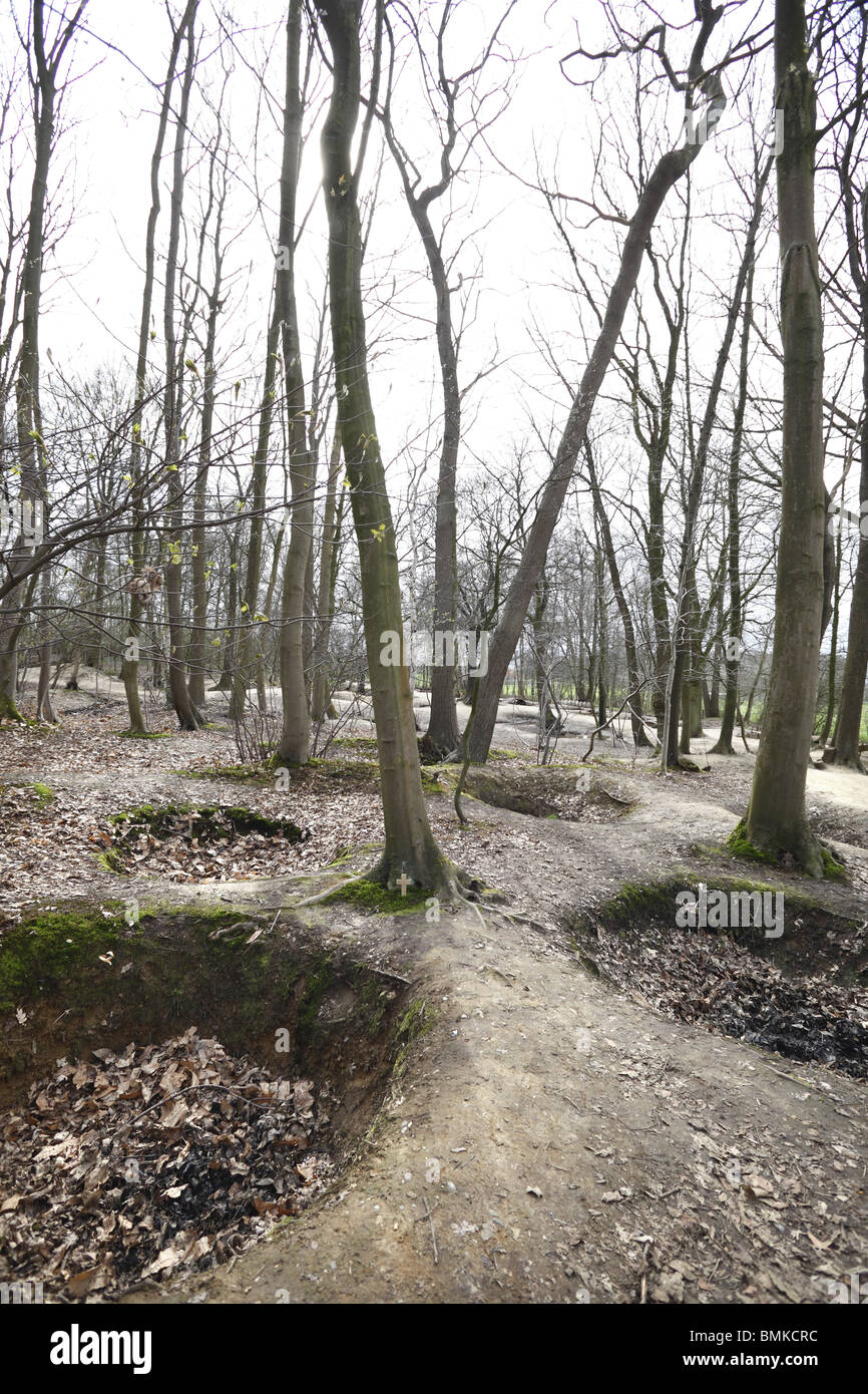 Shell Craters High Resolution Stock Photography and Images - Alamy