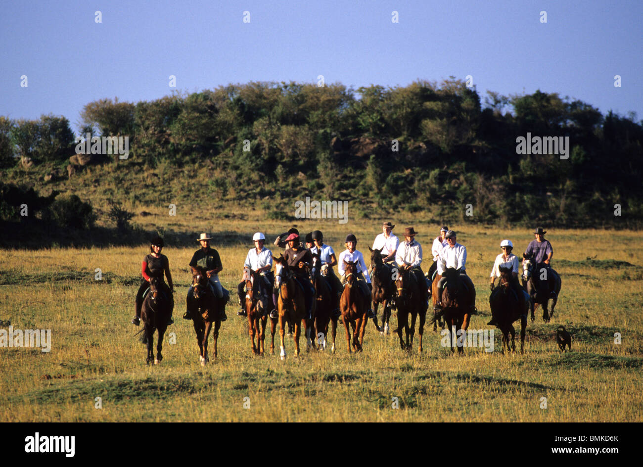 Africa. Kenya. Masai Mara. Horseback riders ride on the plains while on ...