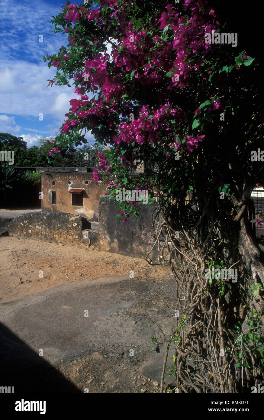 Inside fort jesus mombasa hi-res stock photography and images - Alamy