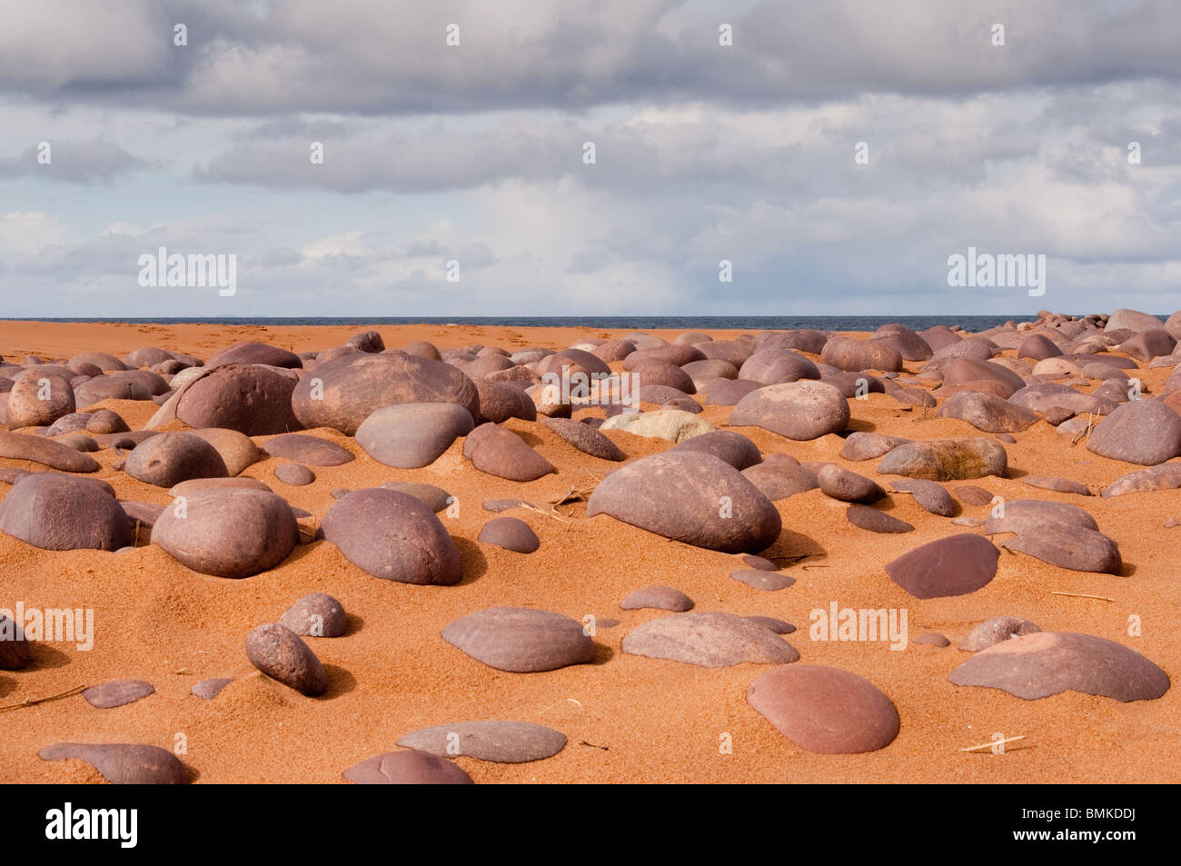Grasses and stones hi-res stock photography and images - Alamy