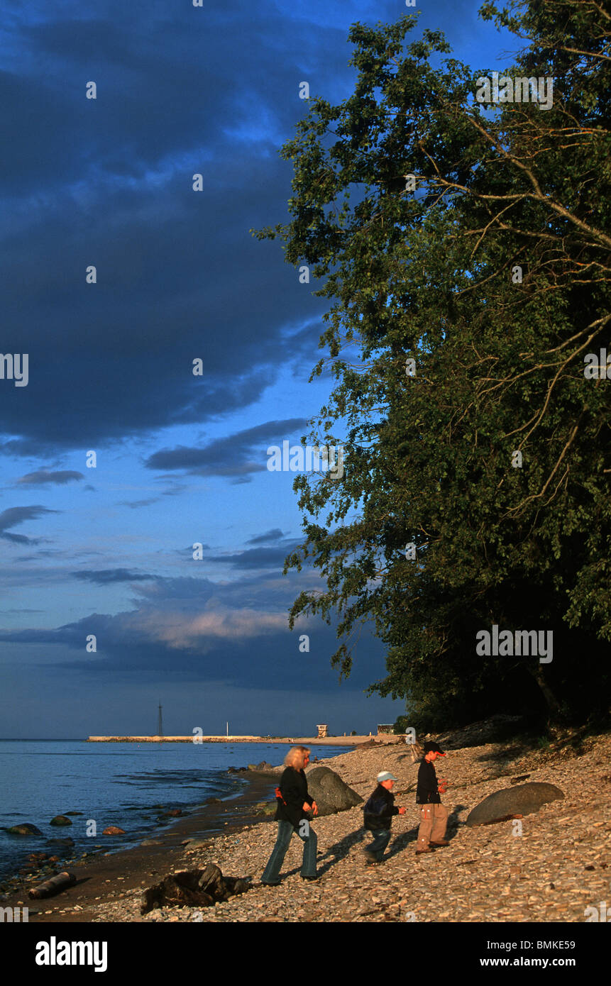 Estonia,Toila,beach,Gulf of Finland,Baltic cost Stock Photo - Alamy