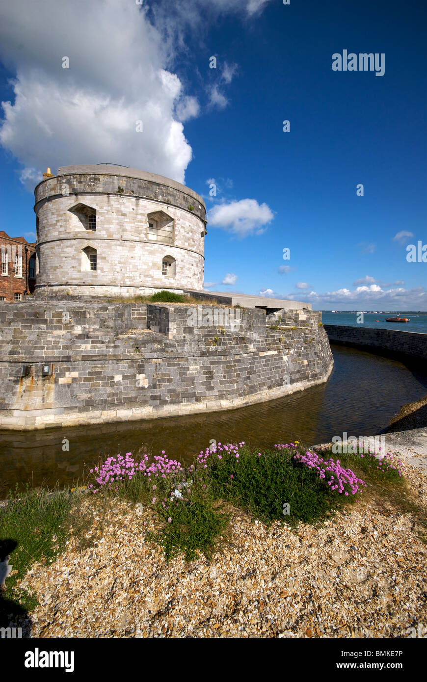 Calshot Castle Hampshire UK Sea Thrift Moat Stock Photo - Alamy