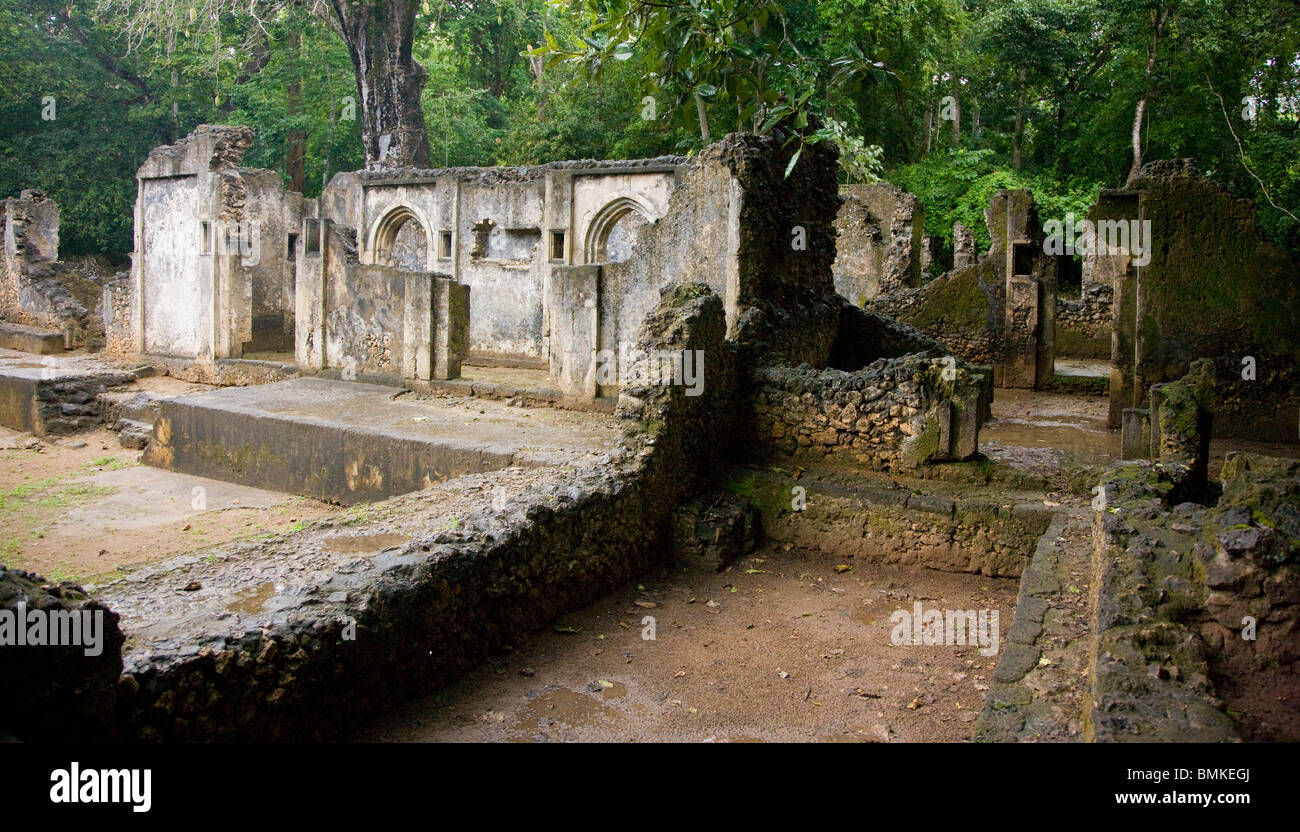Africa. Kenya. Ruins at Gedi, an ancient Swahili city near Mombasa ...