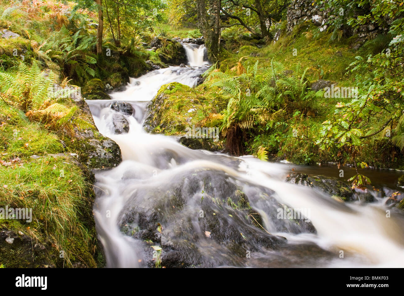 Beck water hi-res stock photography and images - Alamy