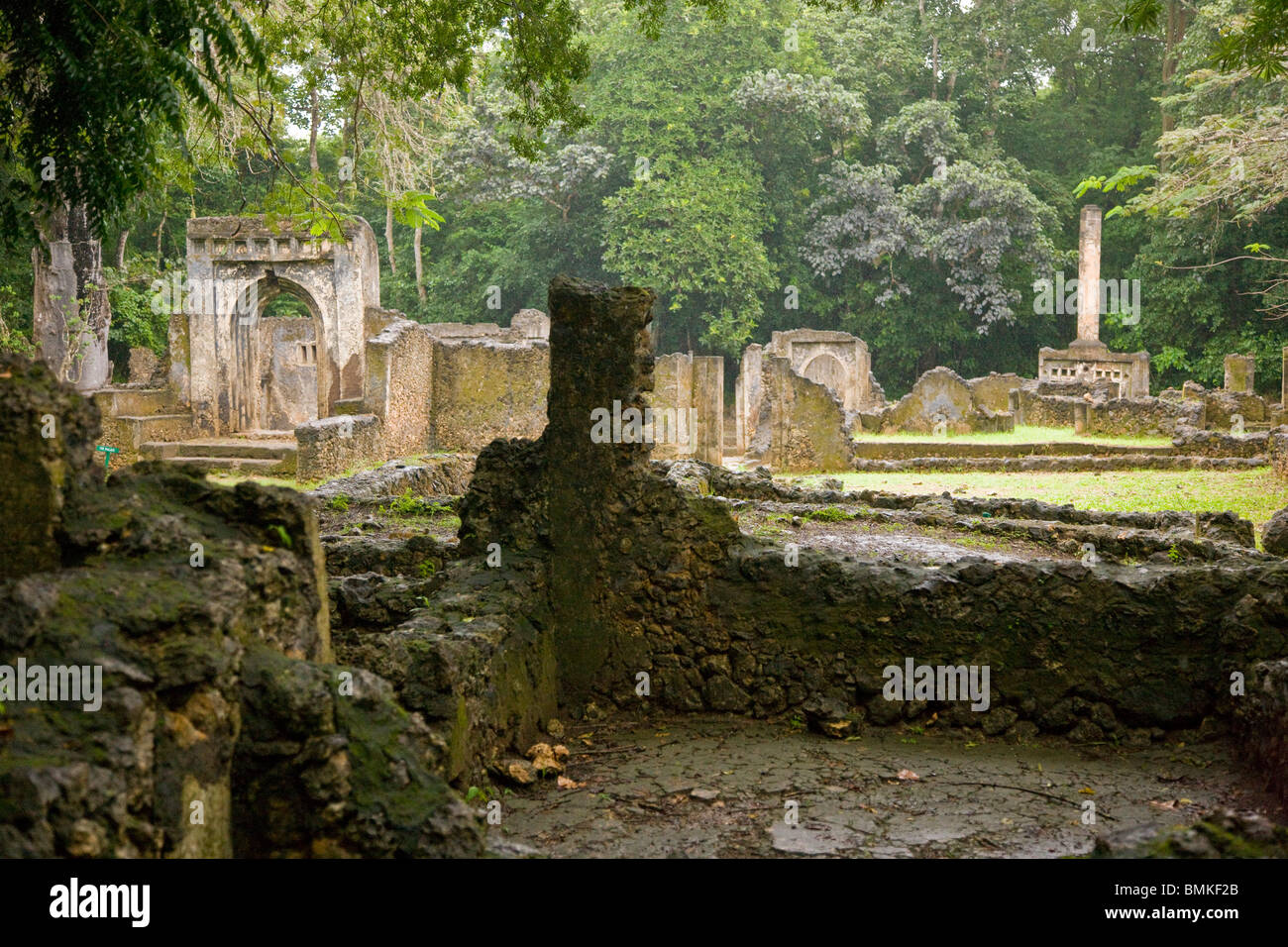 Africa. Kenya. Ruins at Gedi, an ancient Swahili city near Mombasa ...