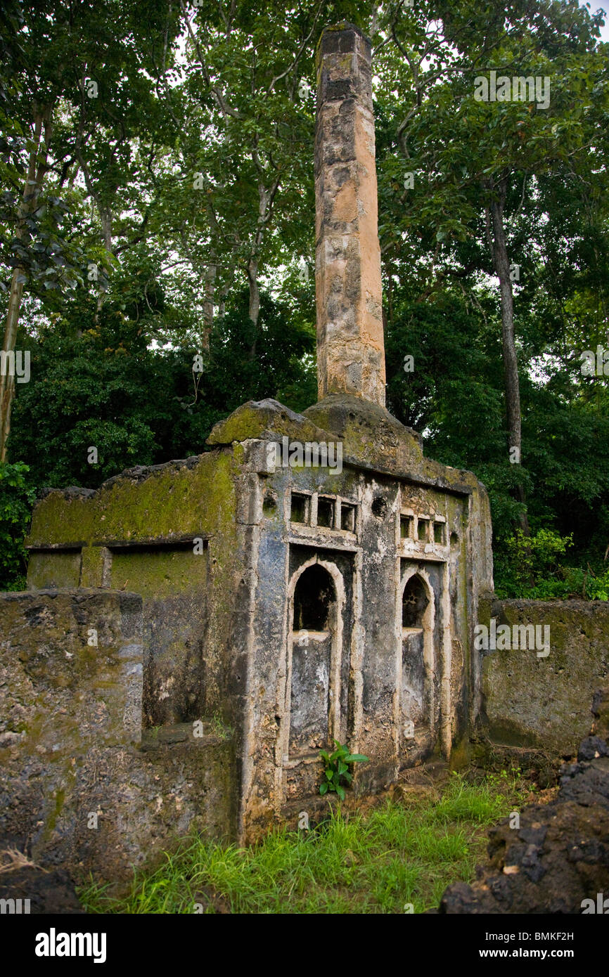 Africa. Kenya. Ruins at Gedi, an ancient Swahili city near Mombasa ...