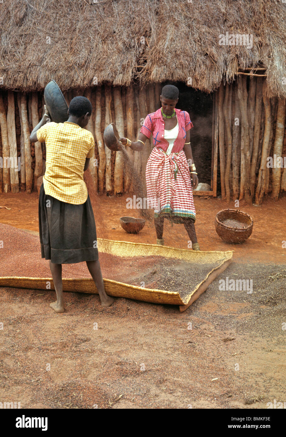 Africa, Kenya, Mara. Native women winow grain outside their hut in the ...