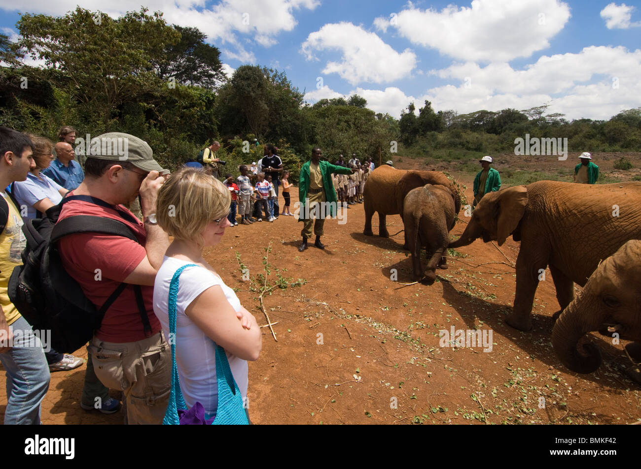 Kenya, Nairobi, David Sheldrick Wildlife Trust. Tourist watch the ...