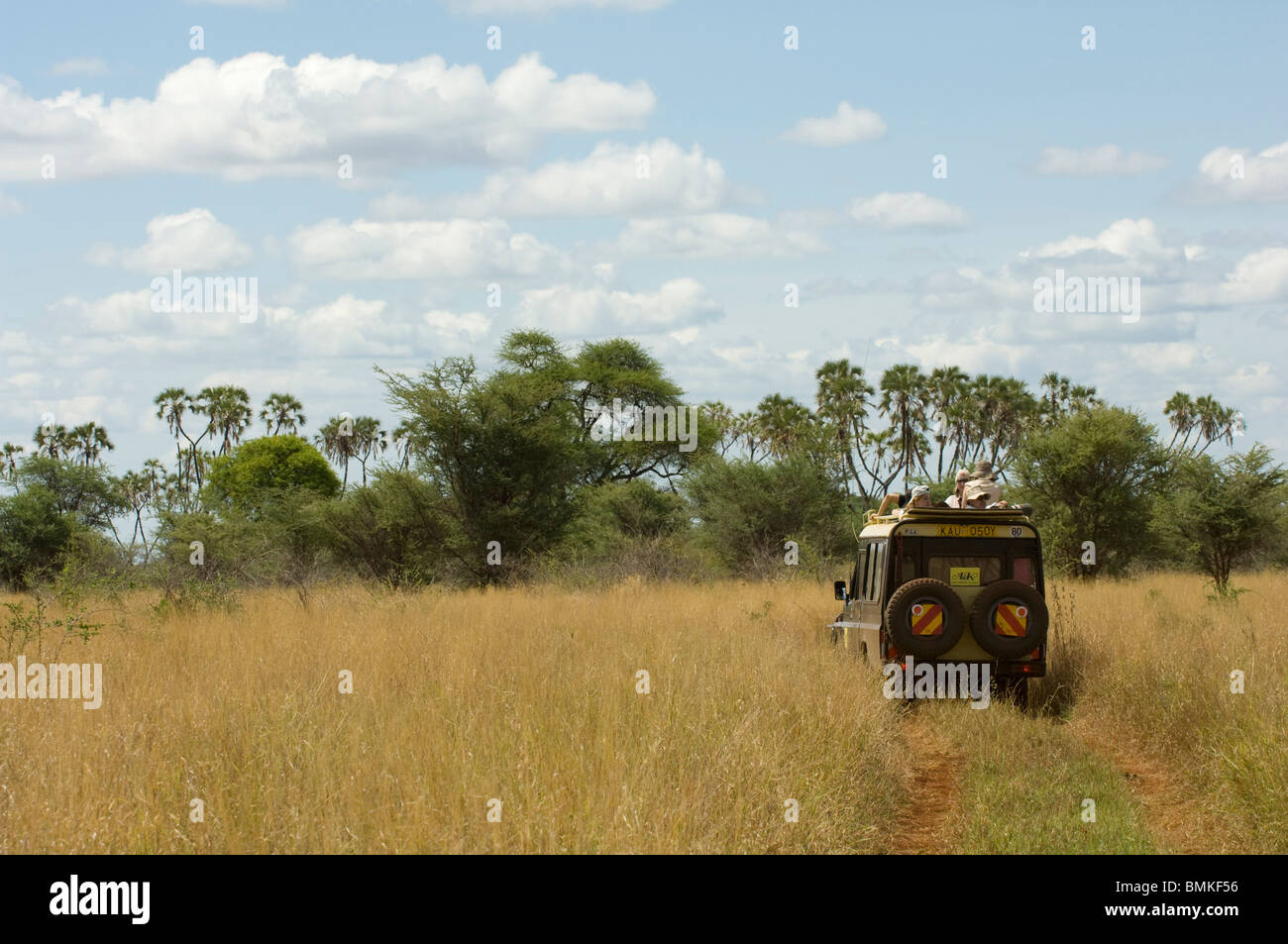 Meru National Park, Kenya. People touring on a safari Stock Photo - Alamy