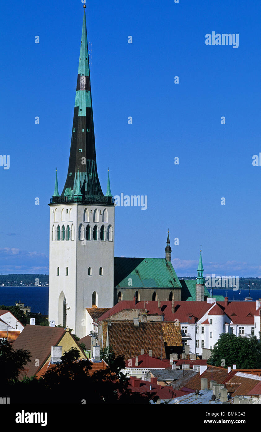 Estonia,Tallinn,St. Olaf Church,Old Town Stock Photo - Alamy
