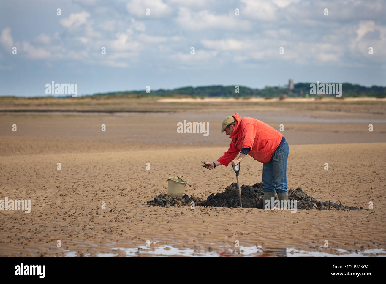Marina bait hi-res stock photography and images - Alamy