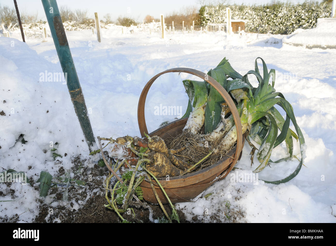 Allotment winter hi-res stock photography and images - Alamy