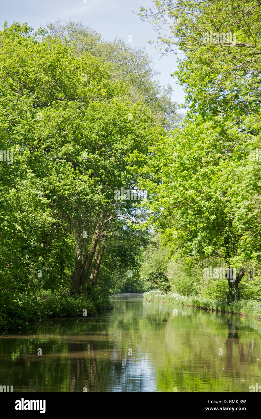 Bygone surrey hi-res stock photography and images - Alamy