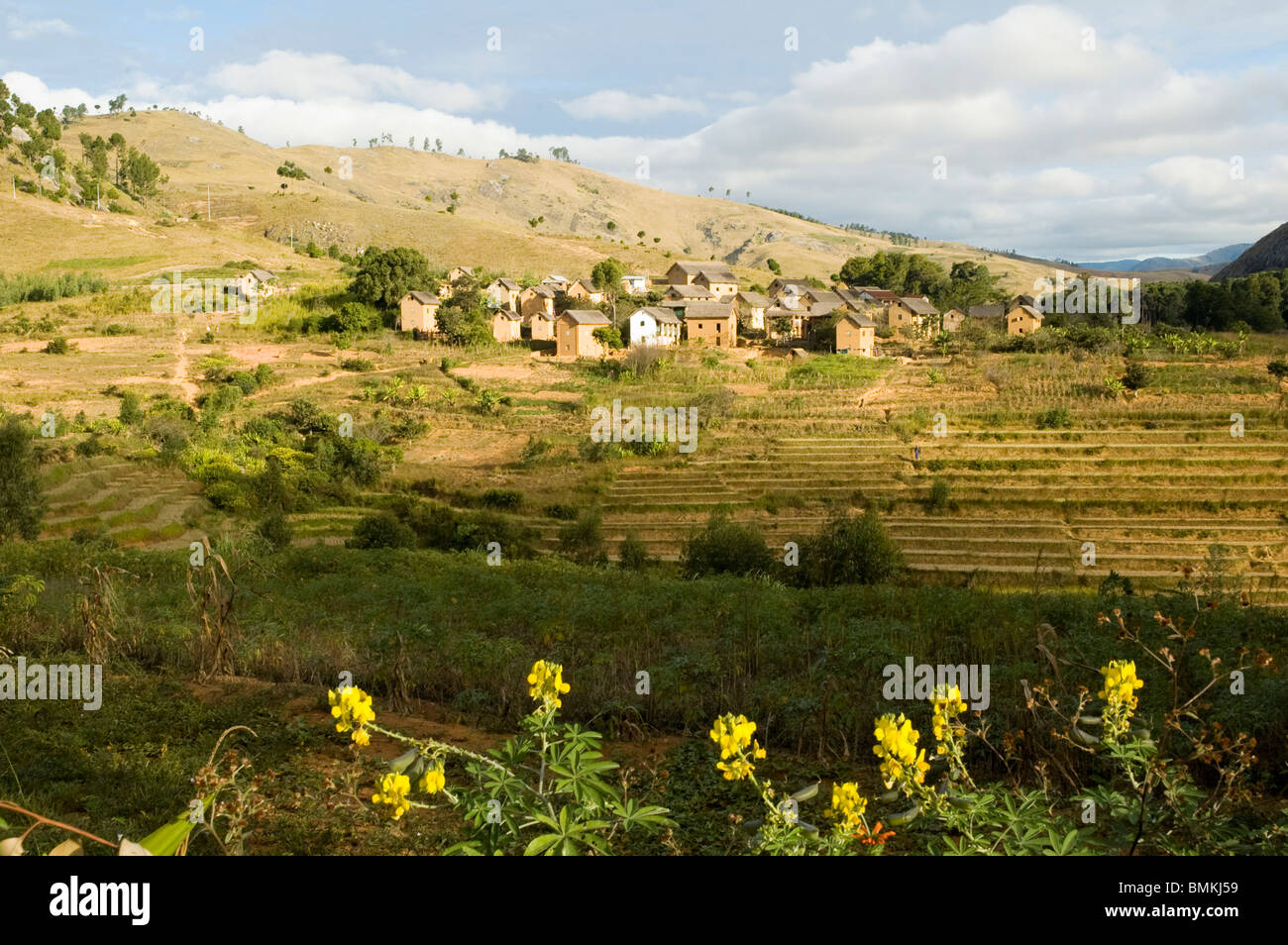Madagascar, Fianarantsoa. Merina village and rice fields along the road ...