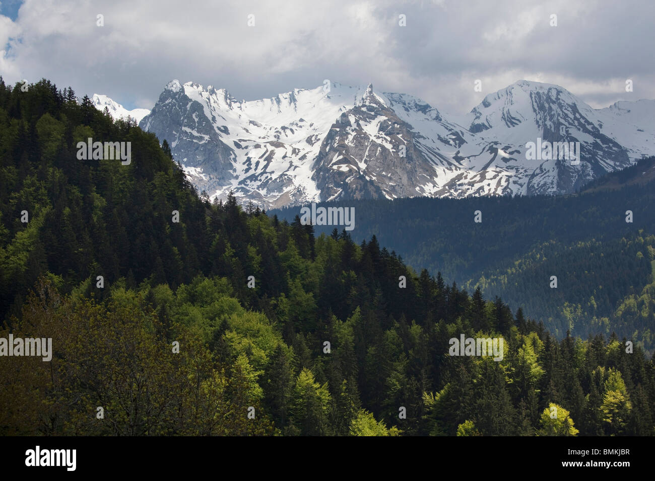 French Alps in spring, Chamonix, France Stock Photo - Alamy