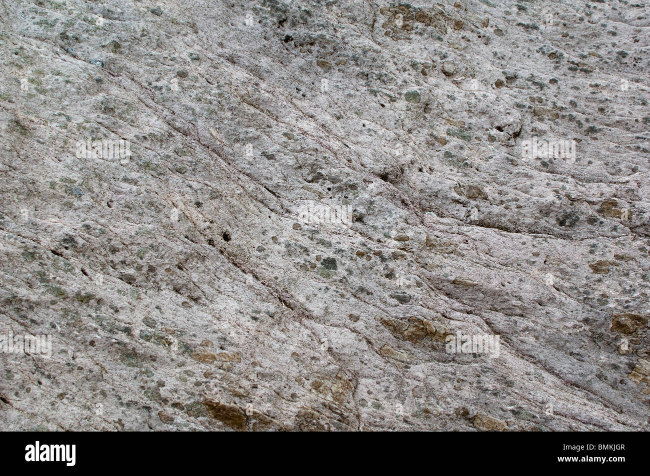 rock mottled with lichen Stock Photo - Alamy