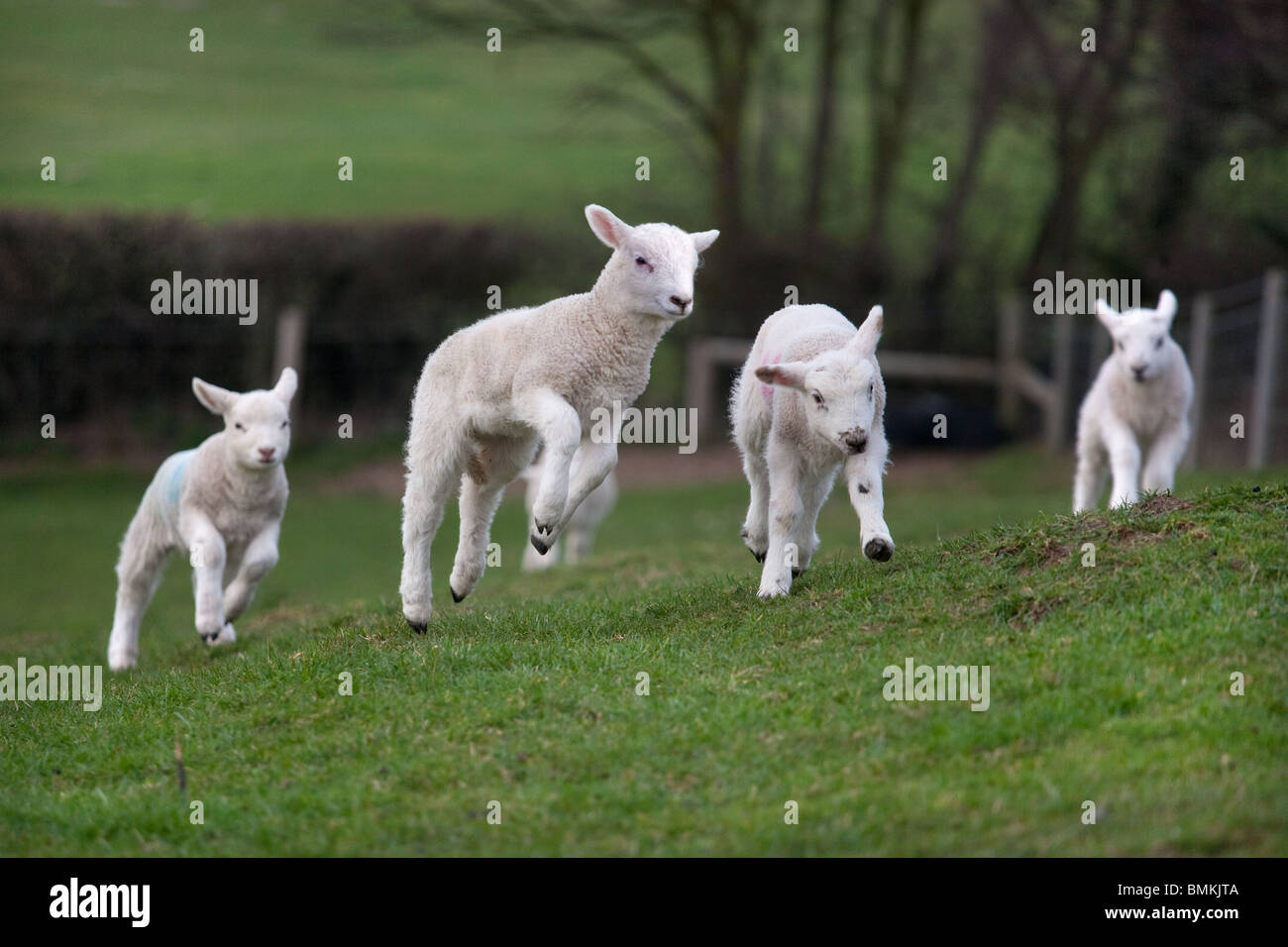 Farming calendar hi-res stock photography and images - Alamy