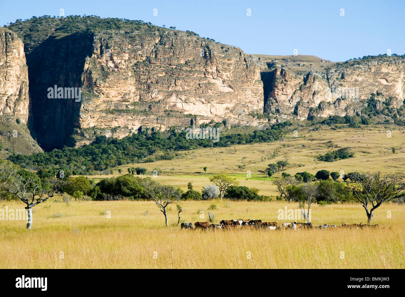 Madagascar, Isalo. Canyon des Makis in the Isalobe Plateau - Isalo ...