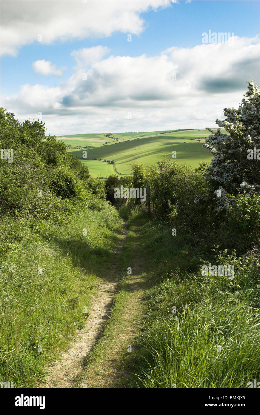 Footpath leading around the ancient iron age hill fort of Cissbury Ring ...