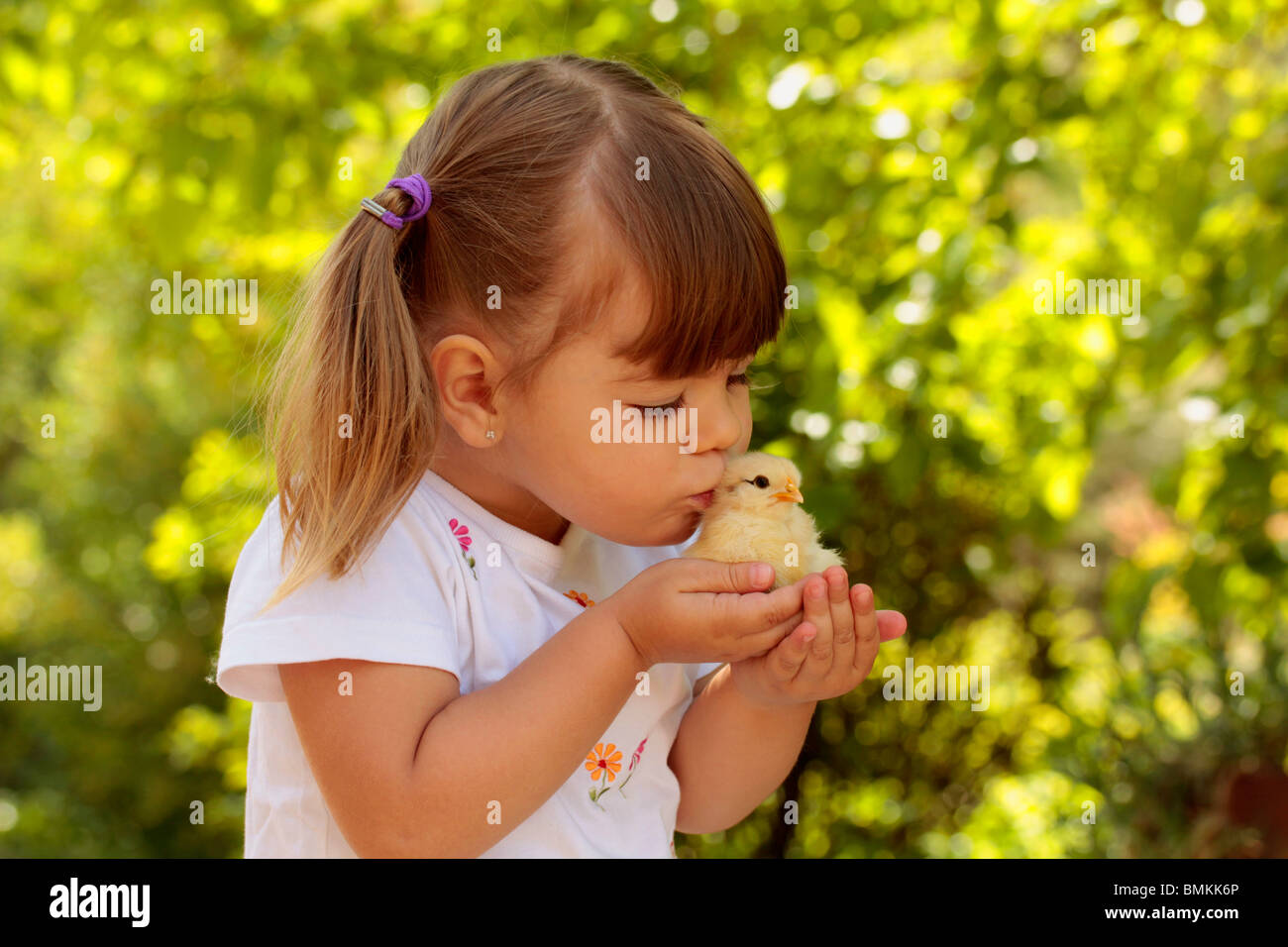 Little girl and chick Stock Photo - Alamy