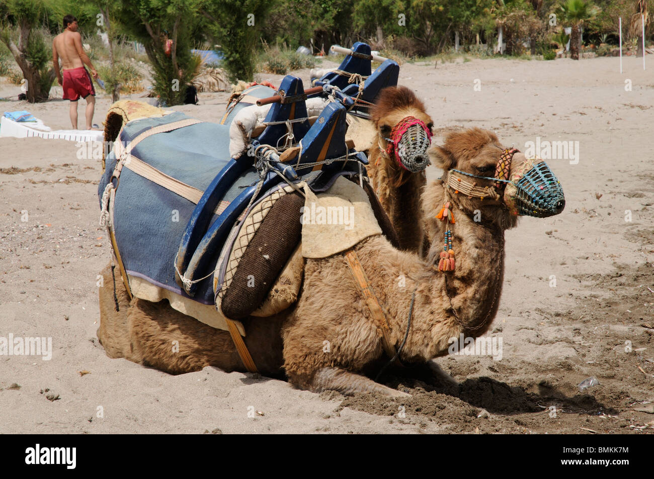 Camel Beach a seaside resort close to Bodrum south west Aegean Turkey ...
