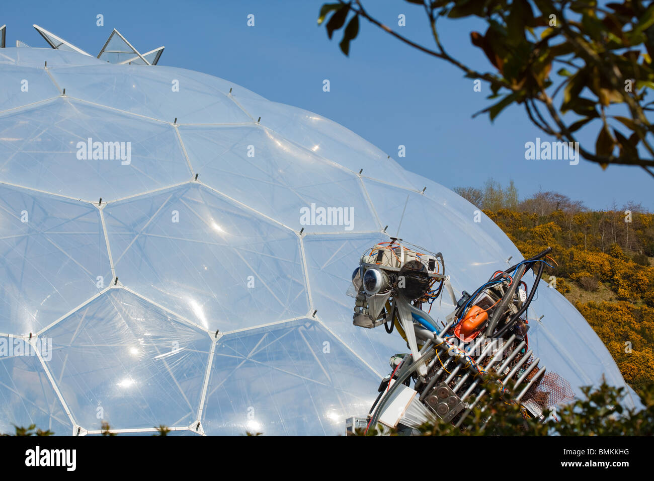 Biome detail at the Eden Project Cornwall Stock Photo - Alamy