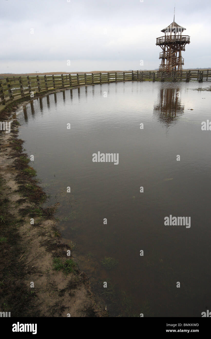 Hortobagy is the first National Park in Hungary Stock Photo - Alamy