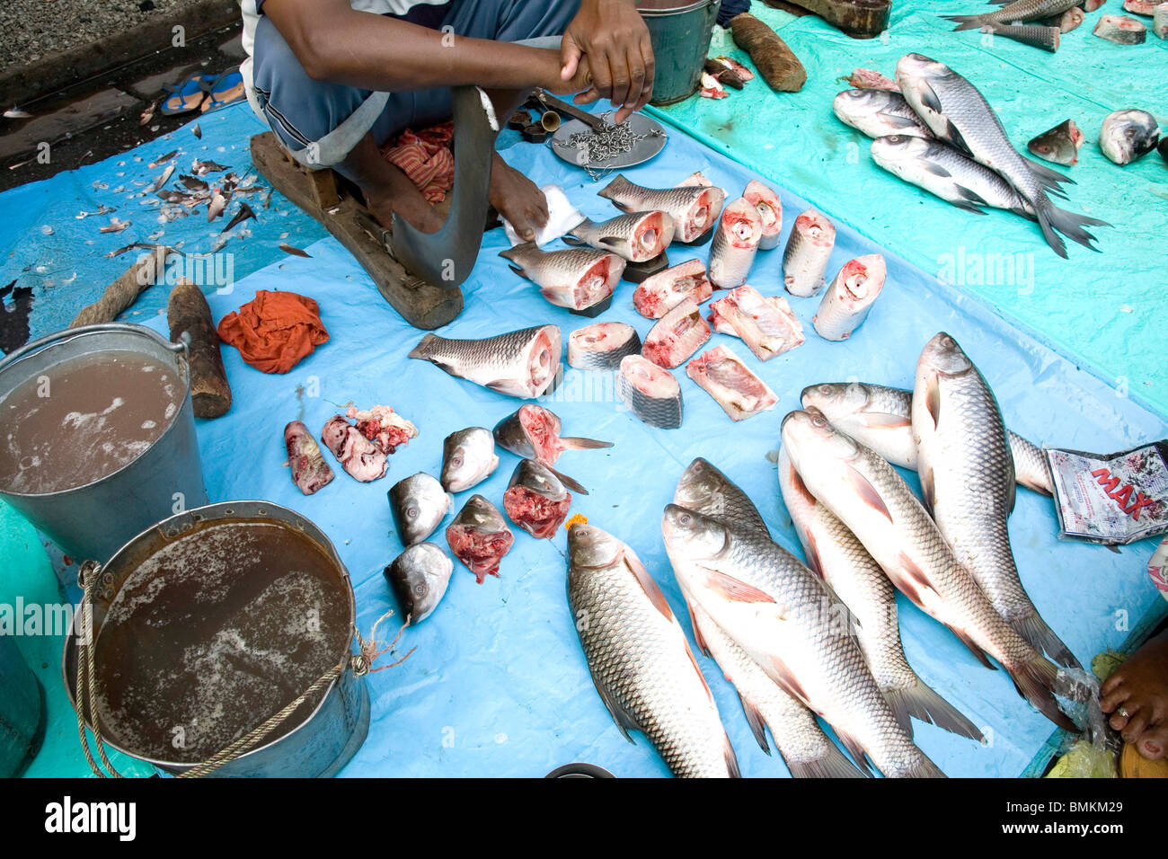 Full and small pieces of fish selling in fish market ; Siyaldah ...