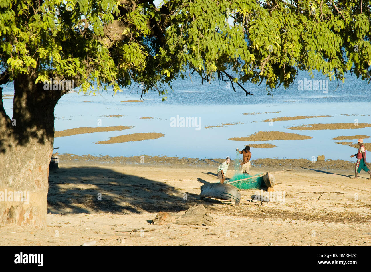 Mangily Stock Photos & Mangily Stock Images - Alamy